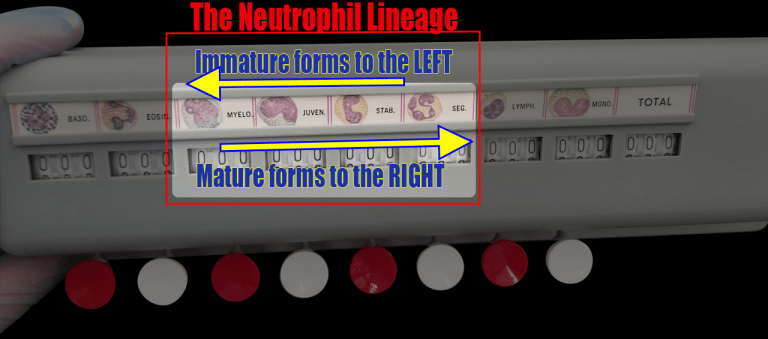 What is a “left shift” anyway? | Searcy EM