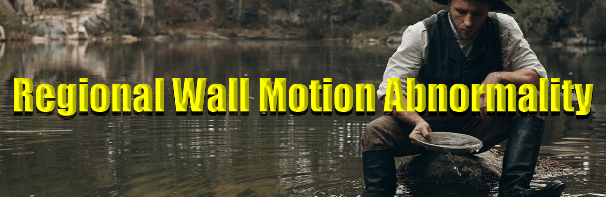 Regional Wall Motion Abnormality | Searcy EM